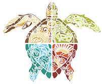 The ABCC Turtle Foundation – Supporting the staff and community of ...